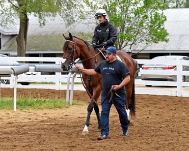 Irap - Horse Profile - BloodHorse
