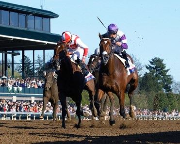 Irap - Horse Profile - BloodHorse