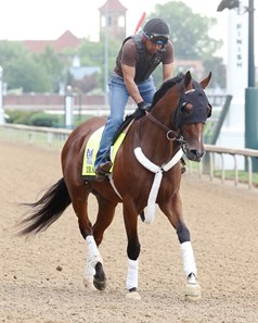 Irap - Horse Profile - BloodHorse