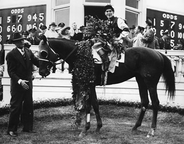 Assault - Horse Profile - BloodHorse