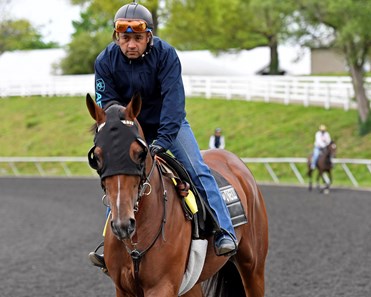 Irap - Horse Profile - BloodHorse