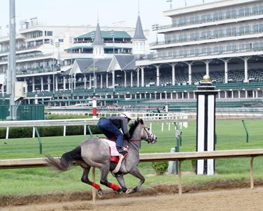 Jordan's Henny - Horse Profile - BloodHorse