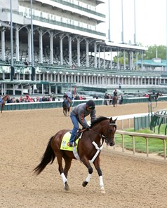 Irap - Horse Profile - BloodHorse