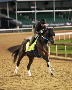 Lookin At Lee - Horse Profile - BloodHorse
