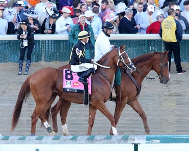 Hence - Horse Profile - BloodHorse