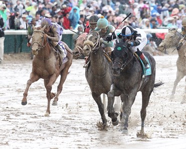 Limousine Liberal - Horse Profile - BloodHorse