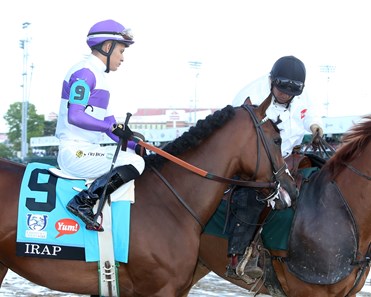 Irap - Horse Profile - BloodHorse