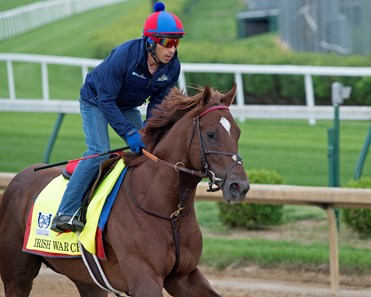 Irish War Cry - Horse Profile - BloodHorse