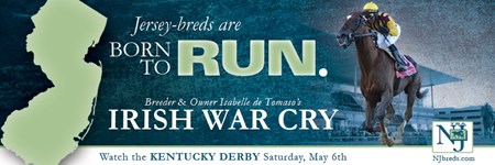 Irish War Cry - Horse Profile - BloodHorse