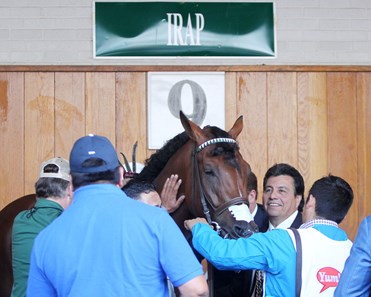 Irap - Horse Profile - BloodHorse