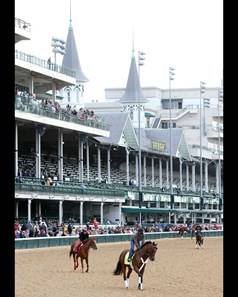 Irap - Horse Profile - BloodHorse