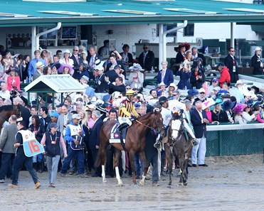 Irish War Cry - Horse Profile - BloodHorse