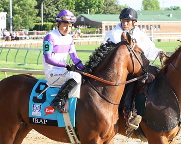 Irap - Horse Profile - BloodHorse