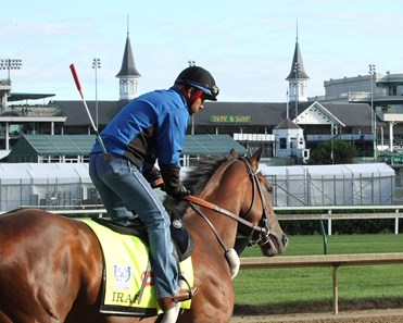 Irap - Horse Profile - BloodHorse