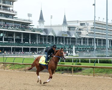 Hence - Horse Profile - BloodHorse