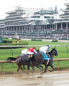 Limousine Liberal - Horse Profile - BloodHorse