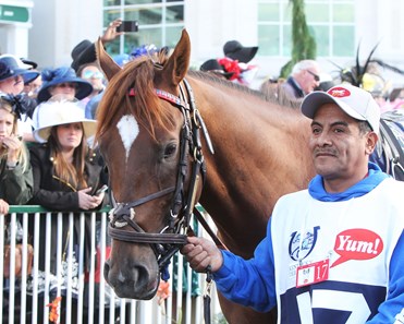 Irish War Cry - Horse Profile - BloodHorse