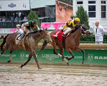 Eight Belles - Horse Profile - BloodHorse