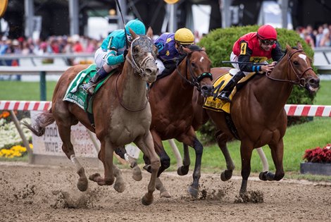 Whitmore Impresses in Maryland Sprint - BloodHorse