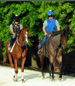 Hence - Horse Profile - BloodHorse