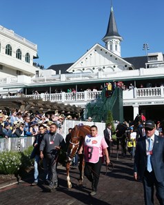 Hence - Horse Profile - BloodHorse