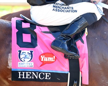 Hence - Horse Profile - BloodHorse