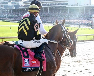 Hence - Horse Profile - BloodHorse