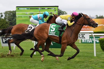 Fourstar Crook - Horse Profile - BloodHorse