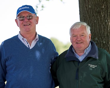 Always Dreaming - Horse Profile - BloodHorse