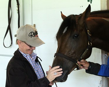 Irap - Horse Profile - BloodHorse