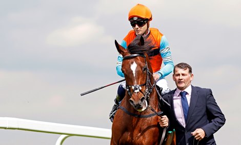 Frankel's First Winner Cunco to Enter Stud in Chile - BloodHorse