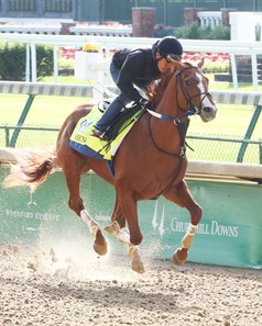 Hence - Horse Profile - BloodHorse