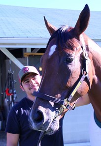 Irap - Horse Profile - BloodHorse