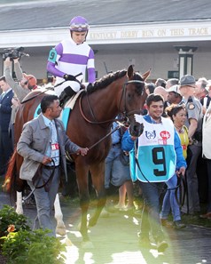 Irap - Horse Profile - BloodHorse