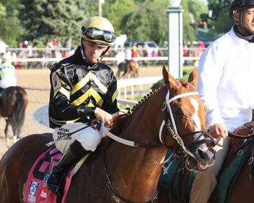 Hence - Horse Profile - BloodHorse