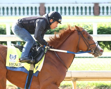 Hence - Horse Profile - BloodHorse