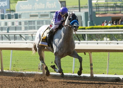 Cupid - Horse Profile - BloodHorse