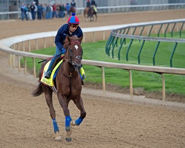 Irish War Cry - Horse Profile - BloodHorse