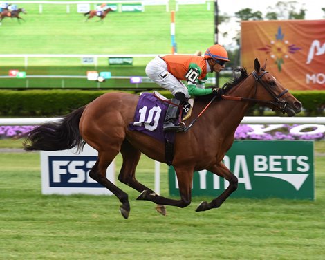 Rubilinda Impresses as Frankel’s First US Winner - BloodHorse