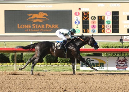 Mor Spirit - Horse Profile - BloodHorse