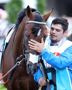 Irap - Horse Profile - BloodHorse