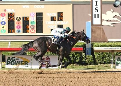 Mor Spirit - Horse Profile - BloodHorse