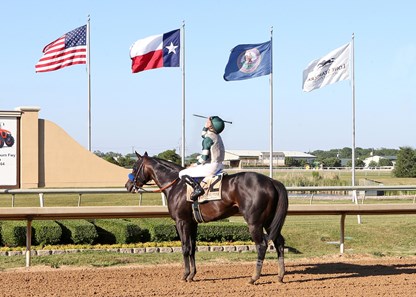 Mor Spirit - Horse Profile - BloodHorse