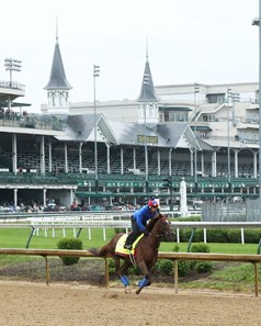 Irish War Cry - Horse Profile - BloodHorse