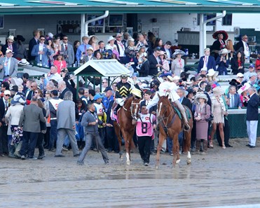 Hence - Horse Profile - BloodHorse