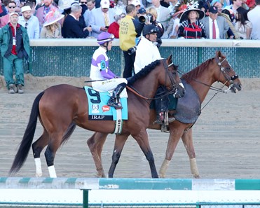 Irap - Horse Profile - BloodHorse