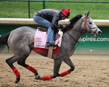 Jordan's Henny - Horse Profile - BloodHorse