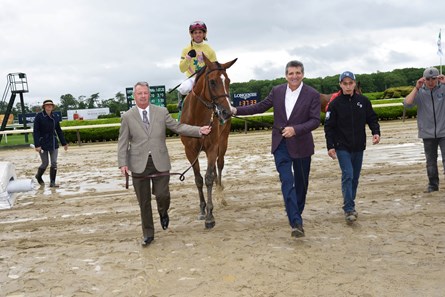 Fourstar Crook - Horse Profile - BloodHorse