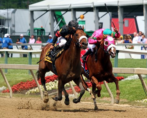 Dolphus a Triple Threat in Cornhusker - BloodHorse