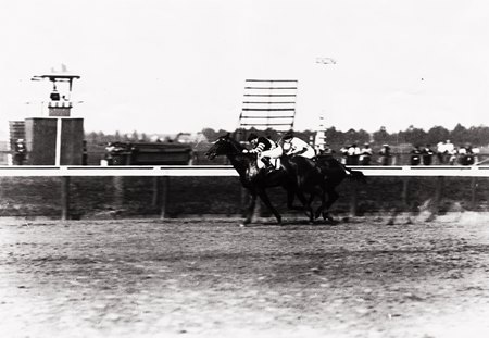 Man o' War Proved He Was a Cup Horse in Jockey Club - BloodHorse